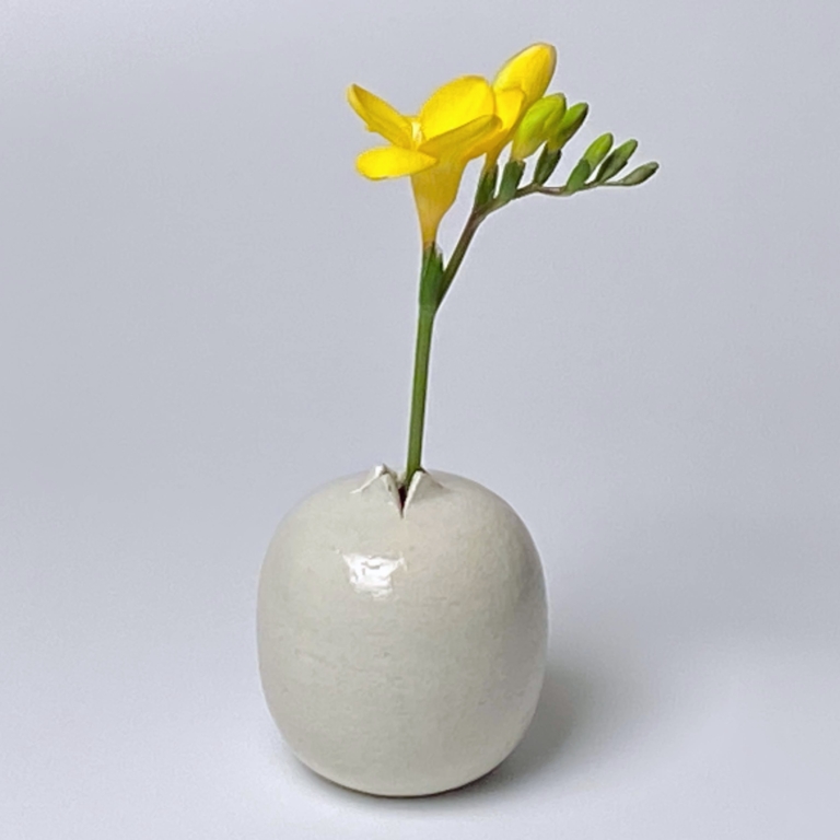 MO-003 – Shibata Trading Consultant